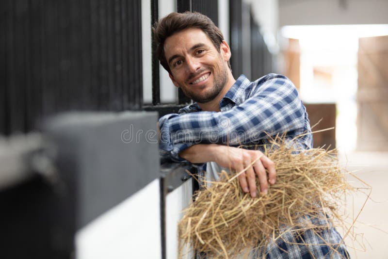 Man in Working Clothes Feeding Horse with Hay at Stable Stock Photo ...
