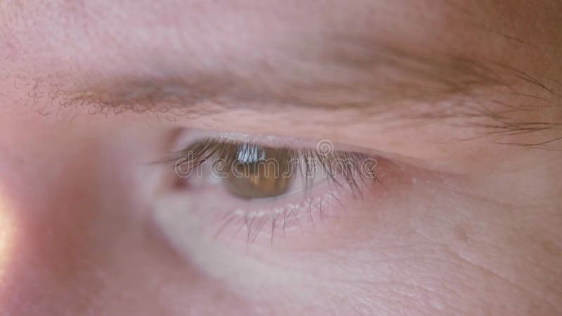 A Man Working at a Computer. the Light Reflection in the Eyes. Stock ...