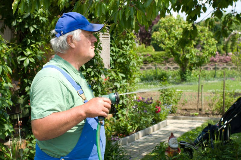 A Man Working in the Garden Stock Image - Image of hose, gardening ...