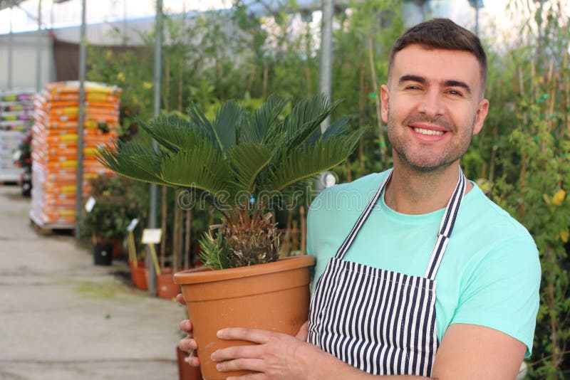 Man Working in a Garden Center Stock Photo - Image of greenhouse ...