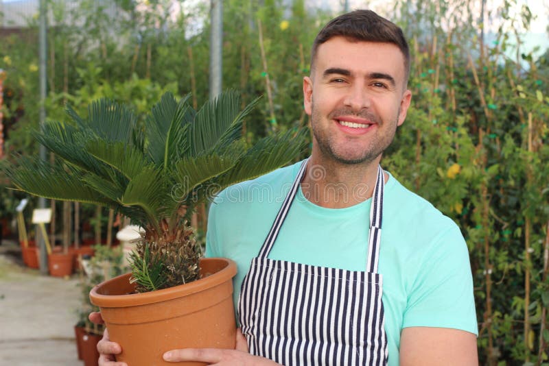 Man Working in a Garden Center Stock Photo - Image of indoors, gardener ...