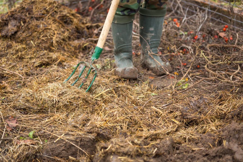 Man Working in Garden with Fork Stock Image - Image of farm, fertilise ...