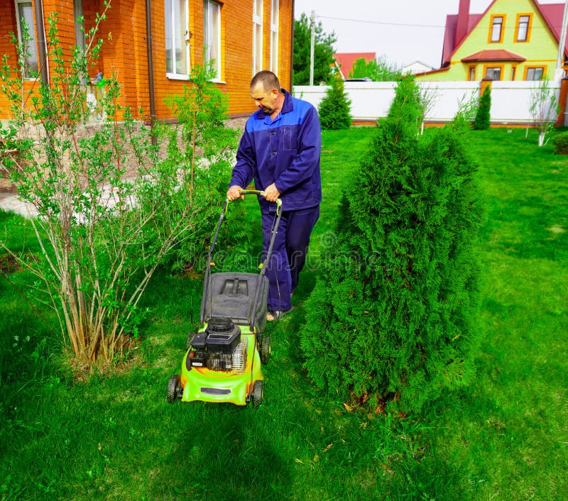 The Man is Working in the Garden. Mowing Grass with a Lawn Mower Stock ...