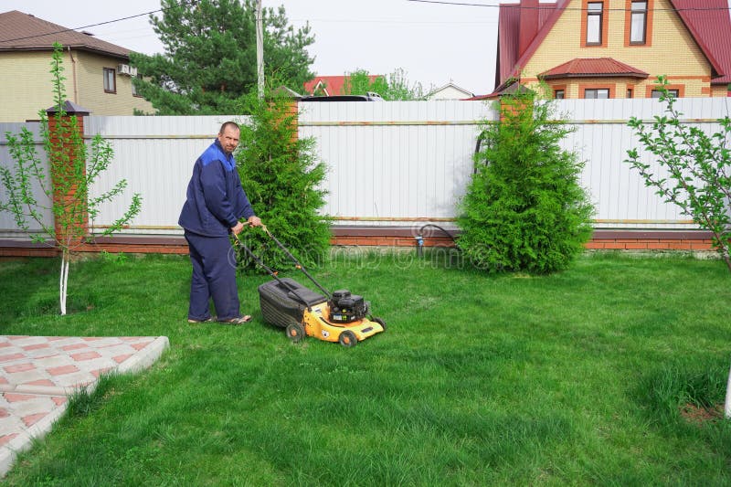 The Man is Working in the Garden. Mowing Grass with a Lawn Mower Stock ...