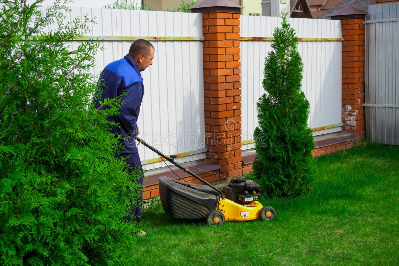 The Man is Working in the Garden. Mowing Grass with a Lawn Mower Stock ...