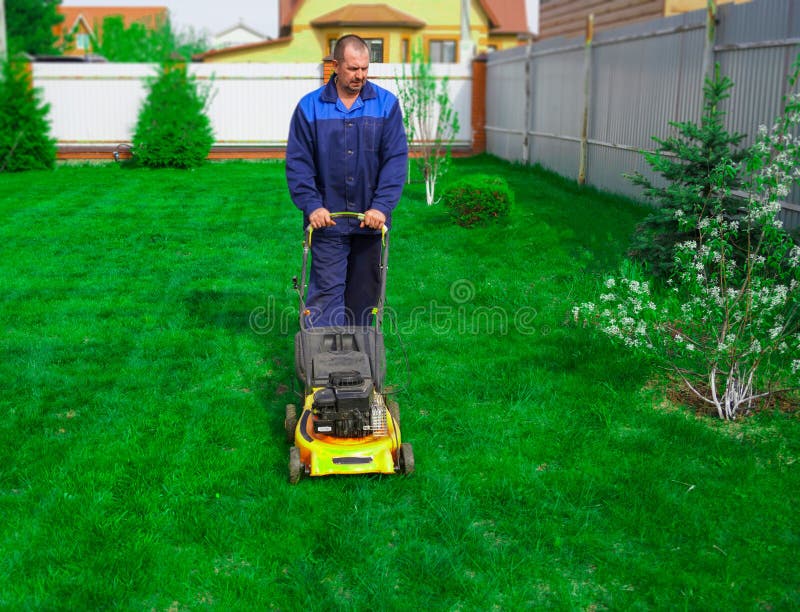 The Man is Working in the Garden. Mowing Grass with a Lawn Mower Stock ...