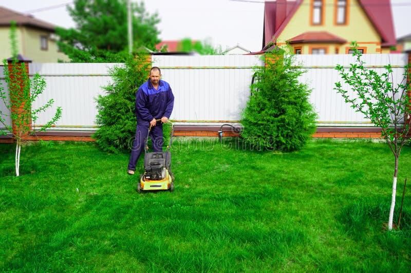 The Man is Working in the Garden. Mowing Grass with a Lawn Mower Stock ...