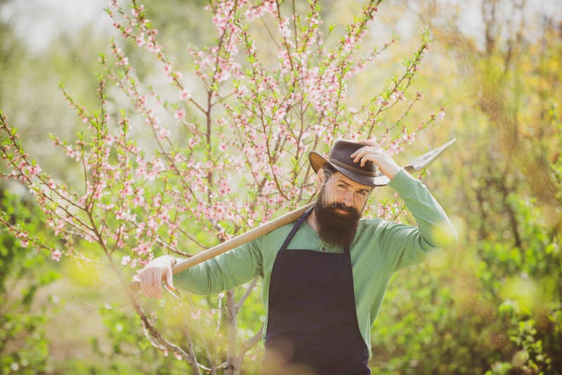 Man Working in Garden Near Flowers Garden. Stock Photo - Image of ...