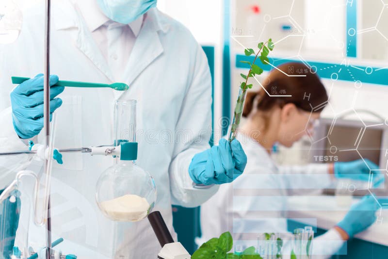 Scientists Working with Plants at Modern Laboratory Stock Photo - Image ...