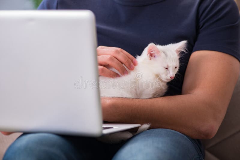 The Man Working on Laptop and Playing Cat Stock Image - Image of home ...
