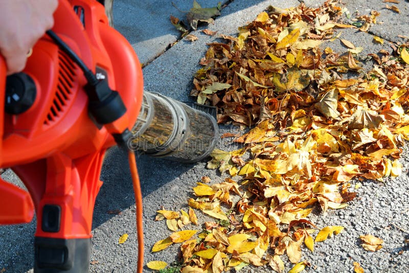 Man Working with Leaf Blower: the Leaves are Being Swirled Up and Down ...