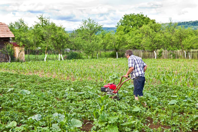 Man Working the Soil with Small Machine Stock Photo - Image of clouds ...