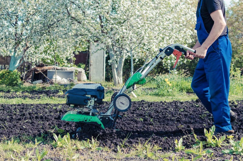 Man Working in the Spring Garden with Tiller Machine Stock Image ...