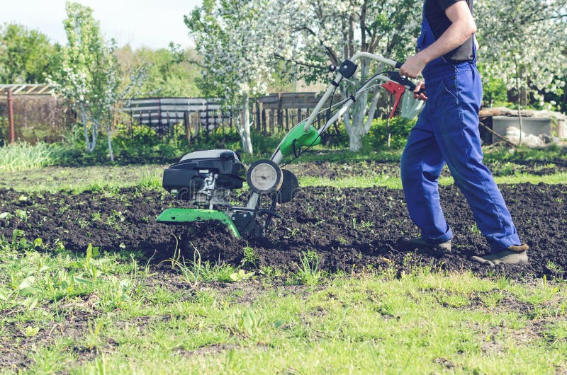 Man Working in the Spring Garden with Tiller Machine Stock Image ...