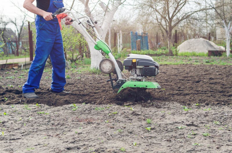 Man Working in the Spring Garden with Tiller Machine Stock Image ...
