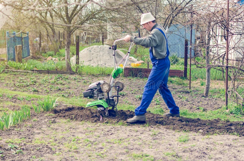 Man Working in the Spring Garden with Tiller Machine Stock Image ...