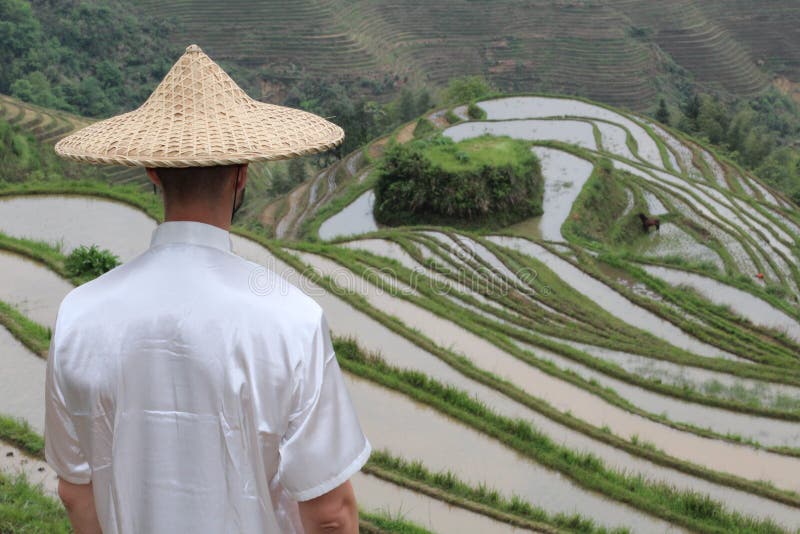 Man Working in Traditional Asian Rice Fields Stock Photo - Image of ...