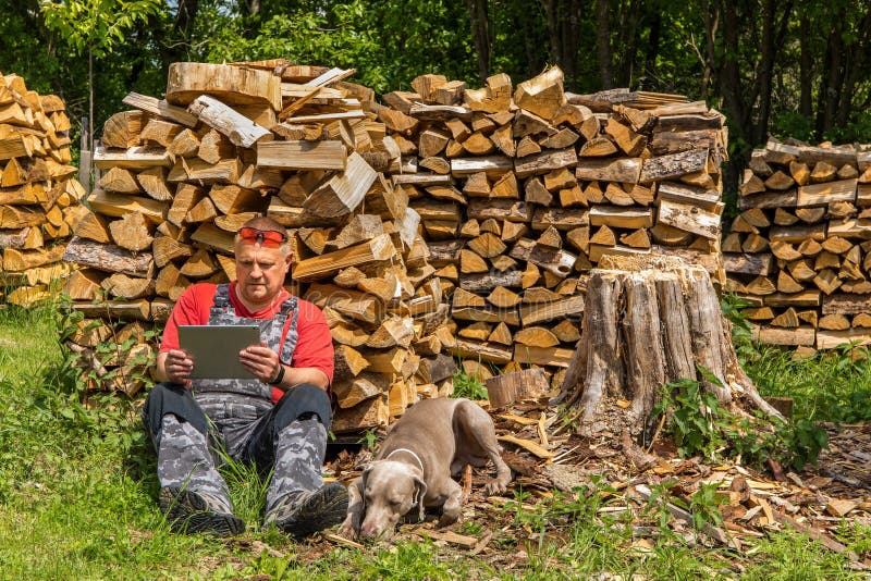 Man Working in the Woods with a Tablet. Internet Connection at Work ...