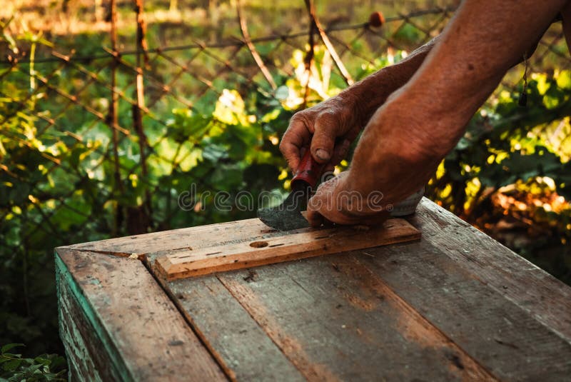 A Man Works in an Apiary with Tools Near the Beehive with Honey and ...