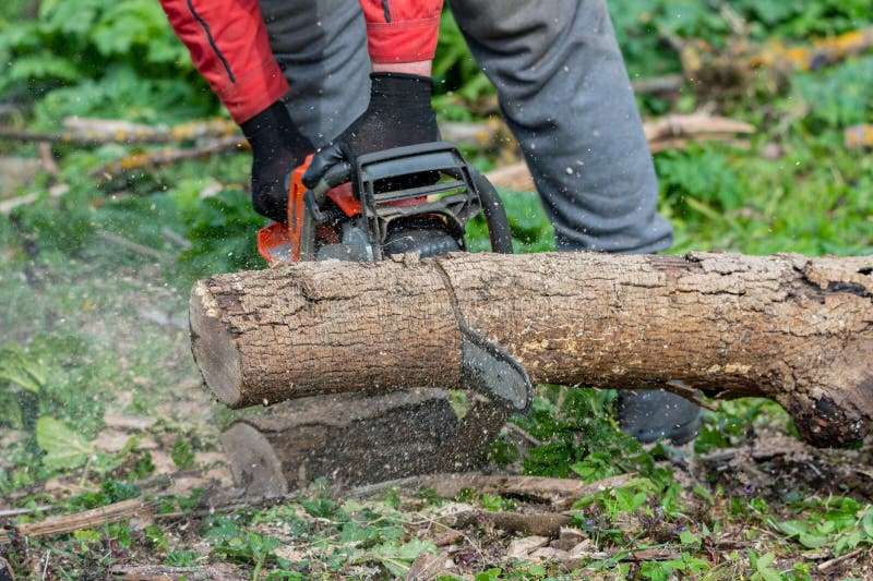 Man works by chainsaw stock photo. Image of equipment - 191085198