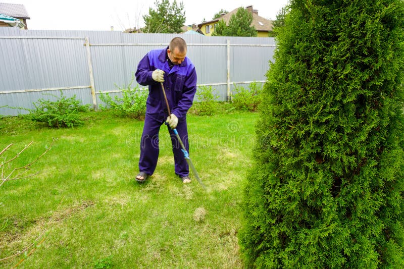 A Man Works in the Garden in Early Spring, Cleaning the Lawn Stock ...