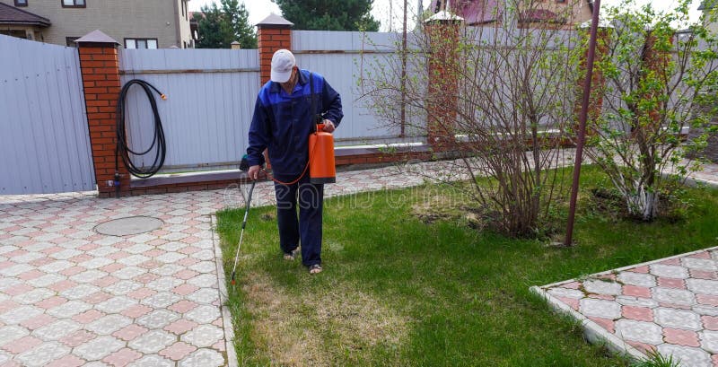 A Man Works in the Garden, Spraying Weeds from a Sprayer Stock Photo ...