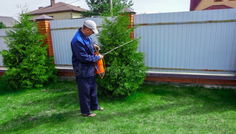 A Man Works in the Garden, Spraying Weeds from a Sprayer Stock Image ...