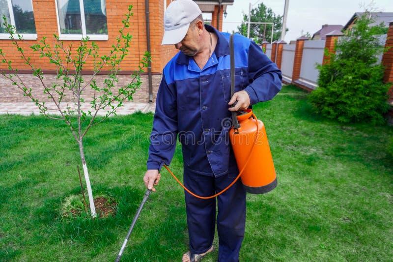 A Man Works in the Garden, Spraying Weeds from a Sprayer Stock Photo ...