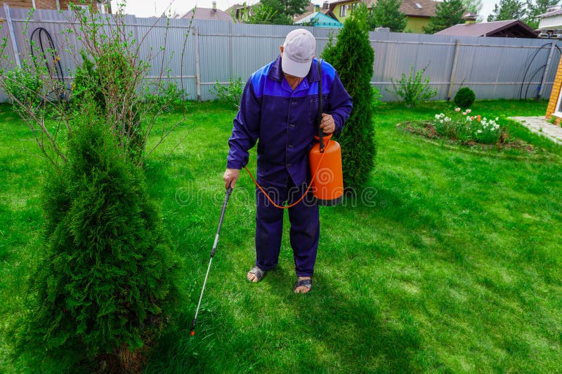 A Man Works in the Garden, Spraying Weeds from a Sprayer Stock Photo ...