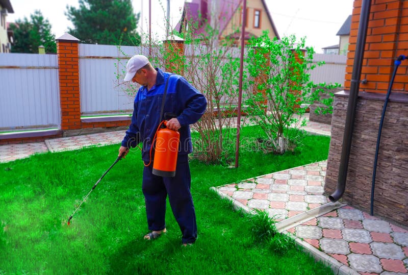 A Man Works in the Garden, Spraying Weeds from a Sprayer Stock Image ...