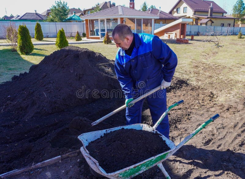 A Man Works in a Vegetable Garden in Early Spring. Digs the Ground ...