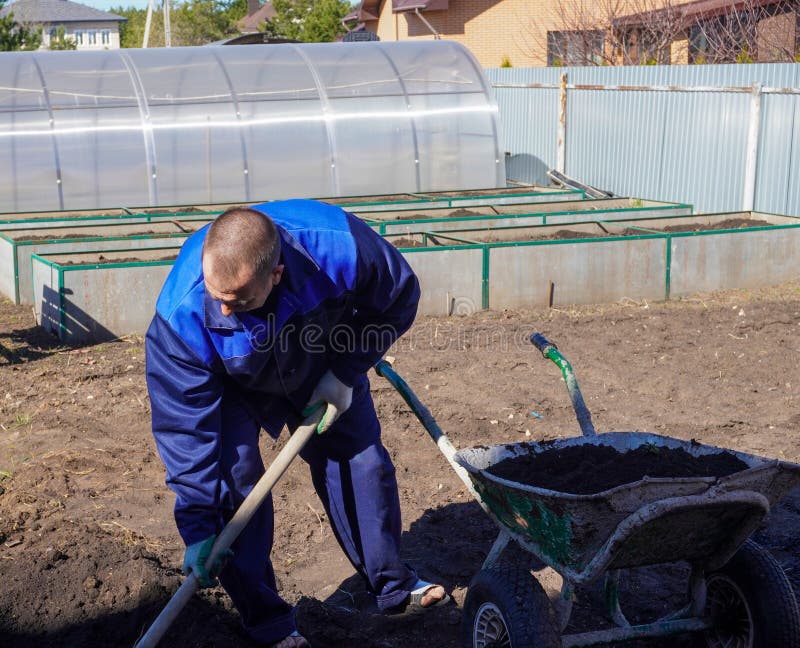A Man Works in a Vegetable Garden in Early Spring. Digs the Ground ...