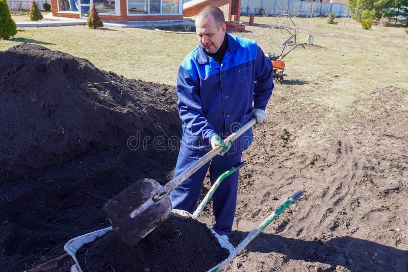 A Man Works in a Vegetable Garden in Early Spring Stock Photo - Image ...