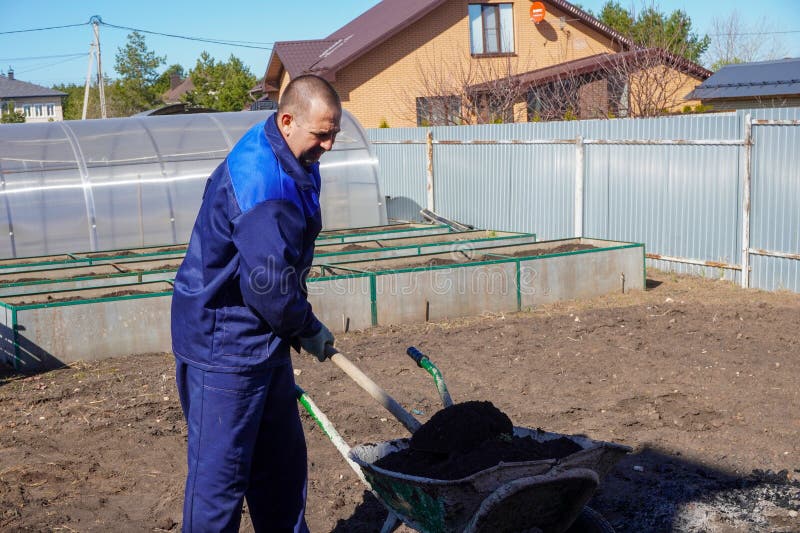 A Man Works in a Vegetable Garden in Early Spring Stock Image - Image ...