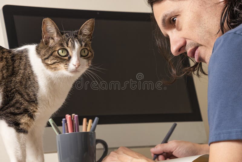 Cat with Green Eyes AndMan Writing in His Notebook Stock Photo - Image ...