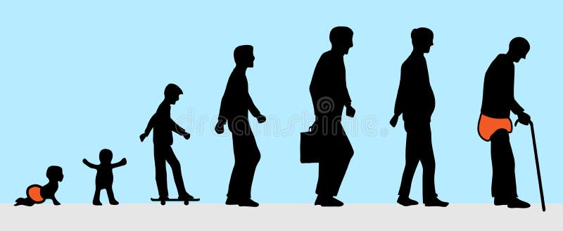 Stages of Growing Up from Baby To Man Stock Illustration - Illustration ...
