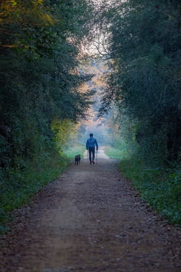 Man and Your Dog Walking in a Beautiful Path Stock Image - Image of ...