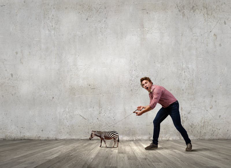 Man with zebra stock photo. Image of circus, care, extinction - 46699370