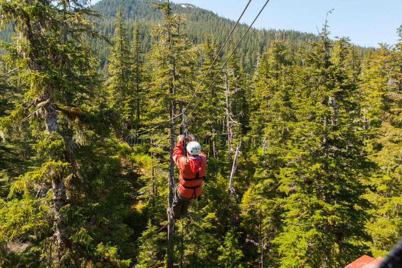 Man Zip-lining Across Tree Tops Editorial Photo - Image of forest ...