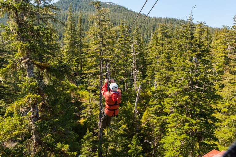 Man Zip-lining Across Tree Tops Editorial Photo - Image of forest ...