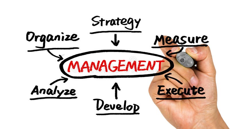 Management Flowchart Hand Drawing on Whiteboard Stock Image - Image of ...