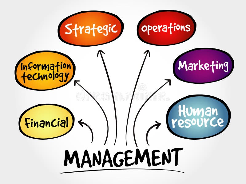 Management Mind Map Business Strategy Stock Illustration - Illustration ...