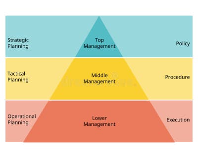 Management Pyramid and Type of Management Structures Hierarchy Stock ...