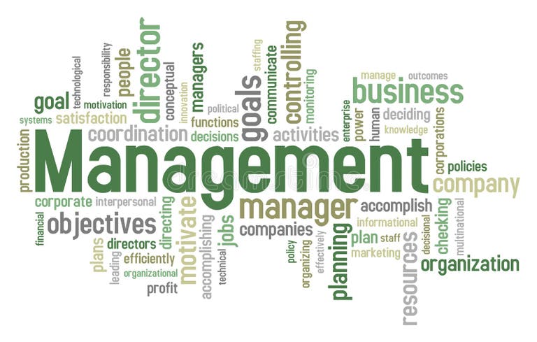Management Word Cloud stock vector. Illustration of words - 19209387