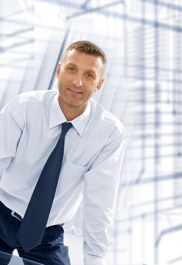 Manager stock image. Image of professional, career, young - 12532443