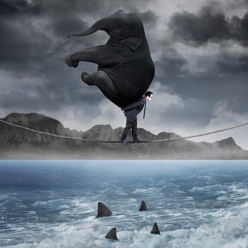 2+ Man carrying elephant Free Stock Photos - StockFreeImages