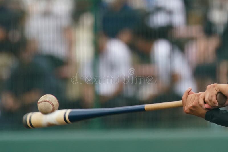 Manager-coach`s Bat and Batted Ball Stock Photo - Image of club, knock ...