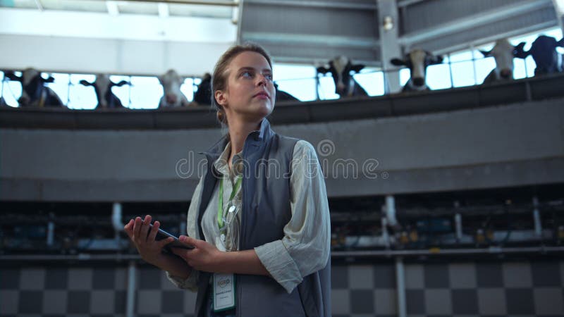 Manager Dairy Farm Checking Production Facility. Supervisor Holding Pad ...