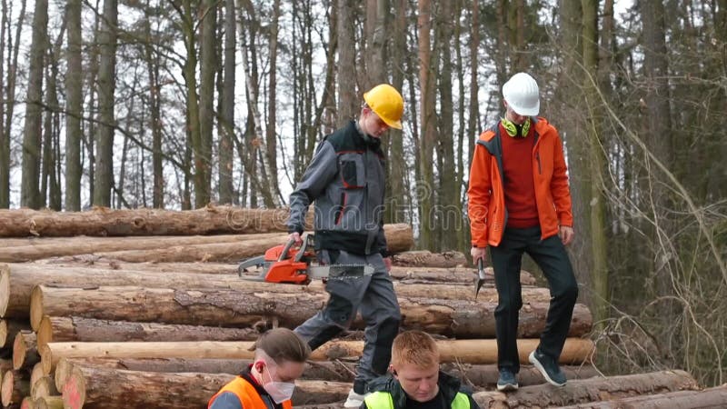 Manager Makes Steps with Assistant Folded Logs Working Communication ...