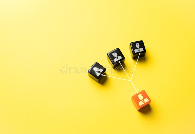 Manager and Subordinates. Delegation of Work, Feedback. Project Manager ...